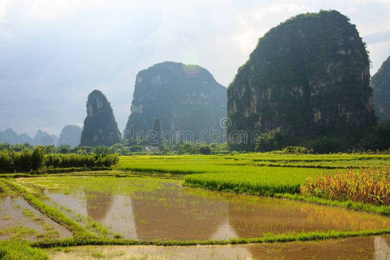 Karst Mountains and Rice Paddies Landscape in Yangshuo China Stock ...