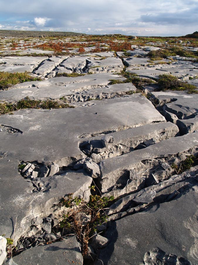 Karst plain stock image. Image of rough, depleted, island - 7855765