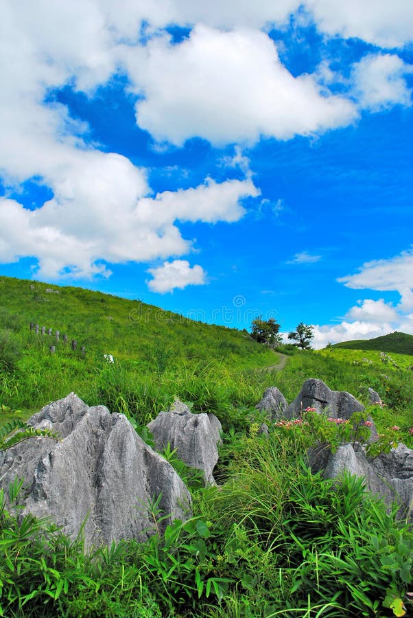 Karst Plateau Picture. Image: 9415867