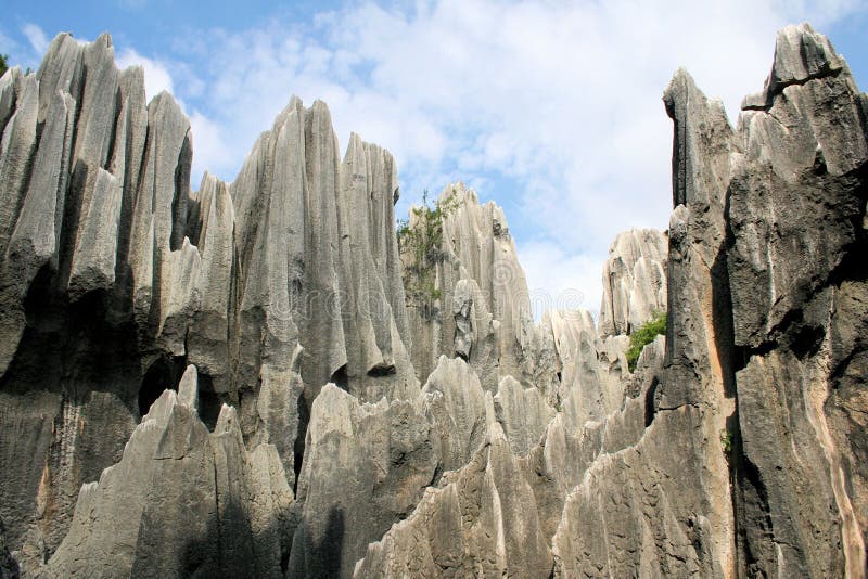 Karst Profile stock photo. Image of limestone, pinnacle - 22629920