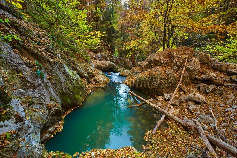 Karst spring in the forest stock image. Image of scenic - 103430647