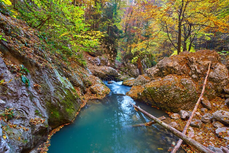 Karst spring in the forest stock image. Image of scenic - 103430647