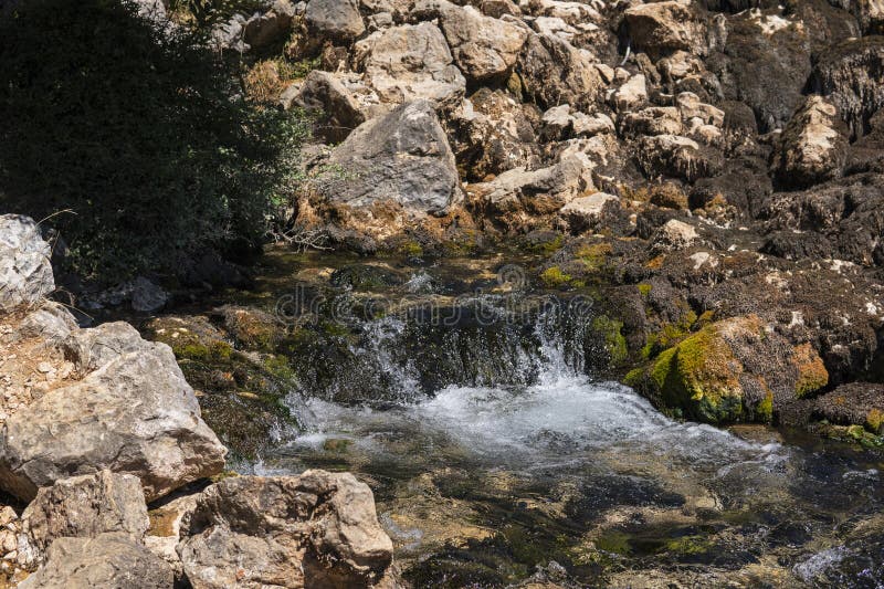 Karst Spring of Krupa River in Croatia Stock Photo - Image of valley ...