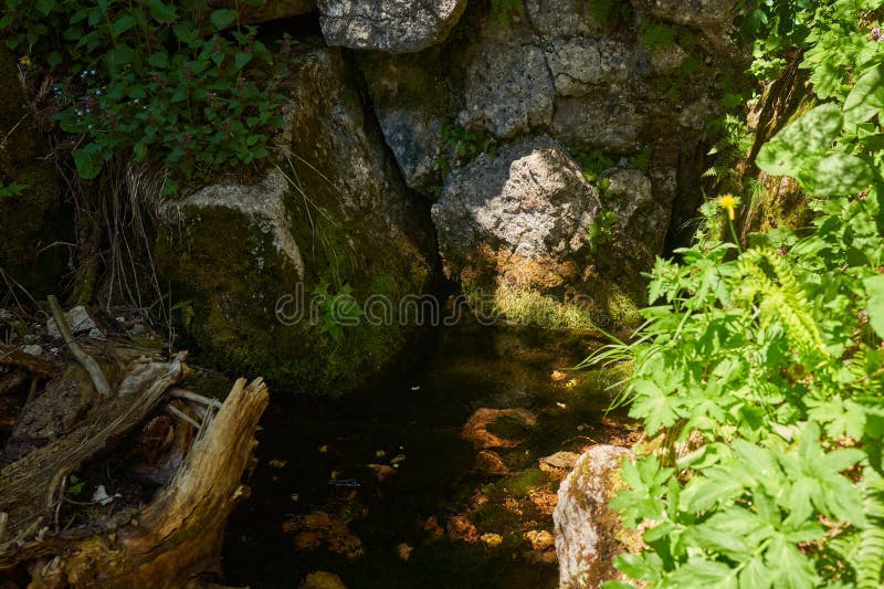 Karst Spring in the Mountains Stock Image - Image of cave, nature ...