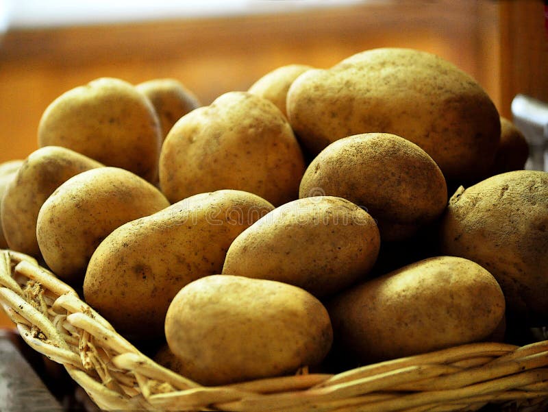 Kartoffeln stockbild. Bild von korb, kartoffeln, morgen - 65889325