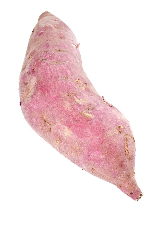 Ignam Zdjęcia Stock - Pobierz 17,578 Zdjęcia Royalty Free