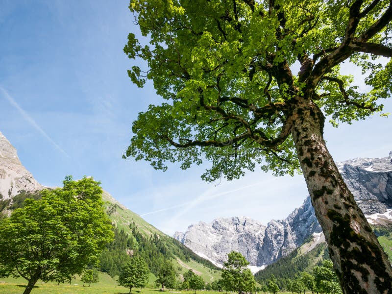 Karwendel stock photo. Image of tranquil, karwendel, color - 30402542
