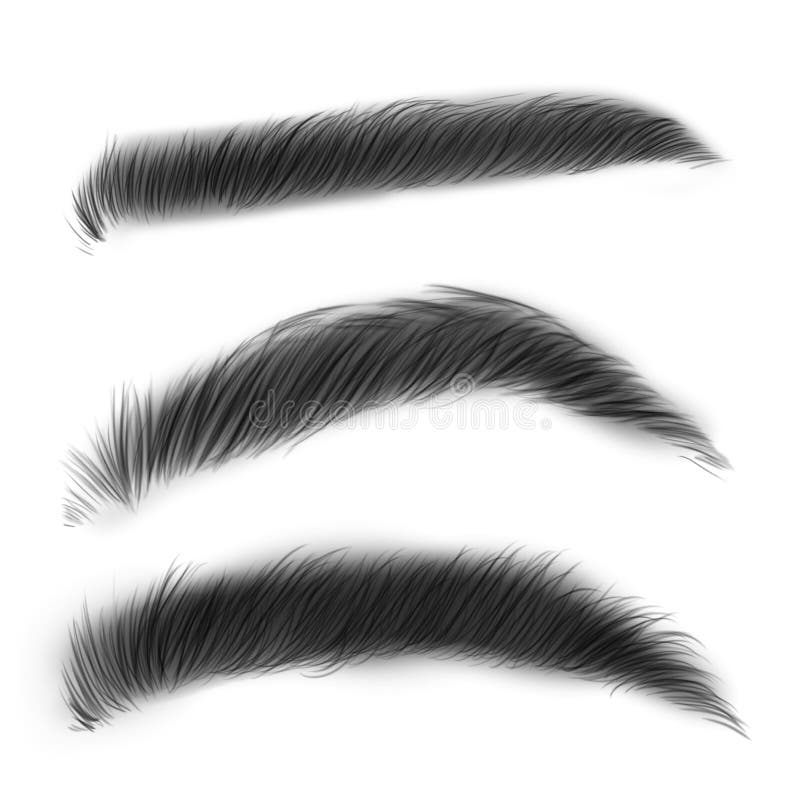 Eyebrow 4 stock illustration. Illustration of monochrome - 288262055