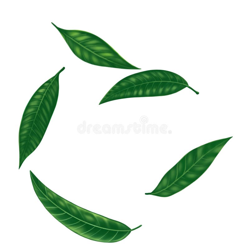 Green flying leaves wave. stock illustration. Illustration of natural ...