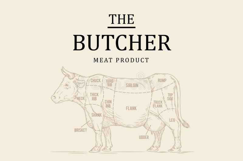 Retro Hand-drawn Logo Butcher Shop . Stock Vector - Illustration of ...