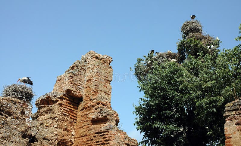 Kasbah Chellah in Rabat in Morocco Stock Photo - Image of civilization ...