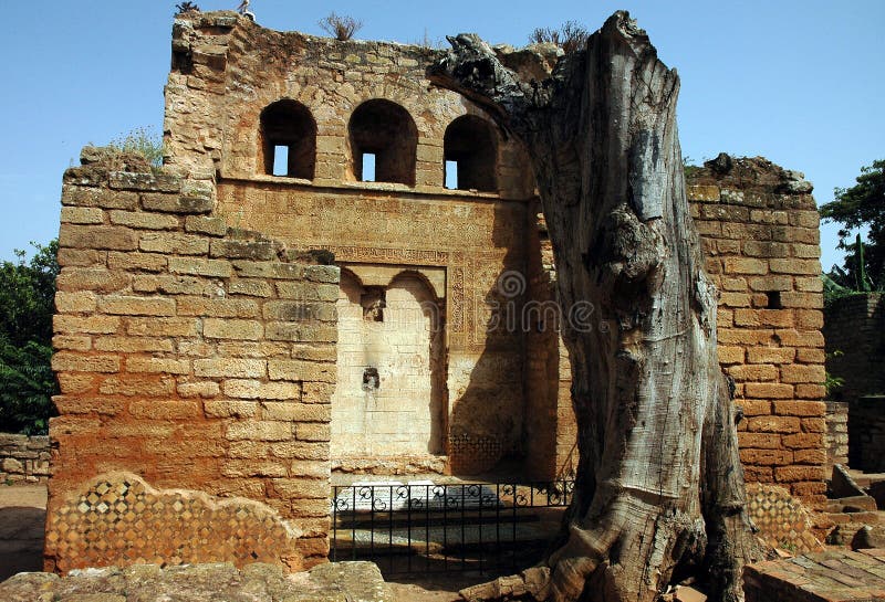Kasbah Chellah in Rabat in Morocco Stock Photo - Image of civilization ...