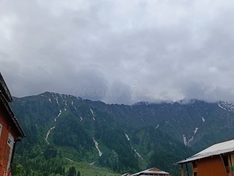 Kuttan Stock Photos - Free & Royalty-Free Stock Photos from Dreamstime