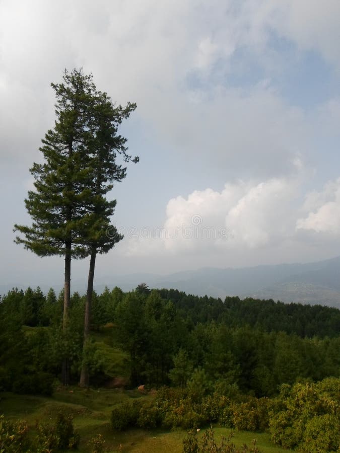 Kashmir Jannah View stock image. Image of wetland, mountain - 220283833