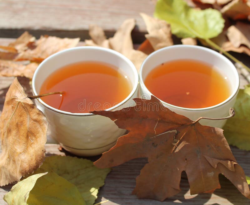 Kashmir kehwa stock photo. Image of kehwa, autumn, kashmir - 129367018