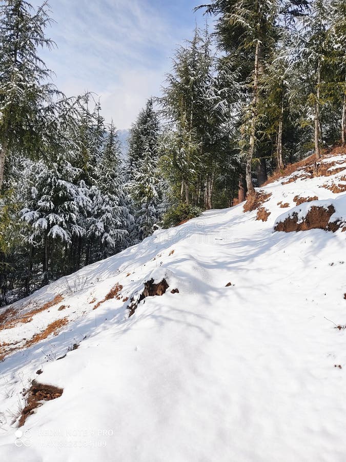 Fresh snowfall in Kashmir. stock image. Image of fresh - 208385155