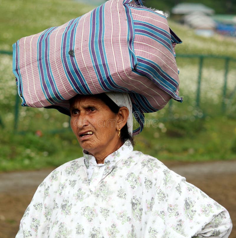 Kashmiri woman editorial image. Image of punjabi, hand - 20889280