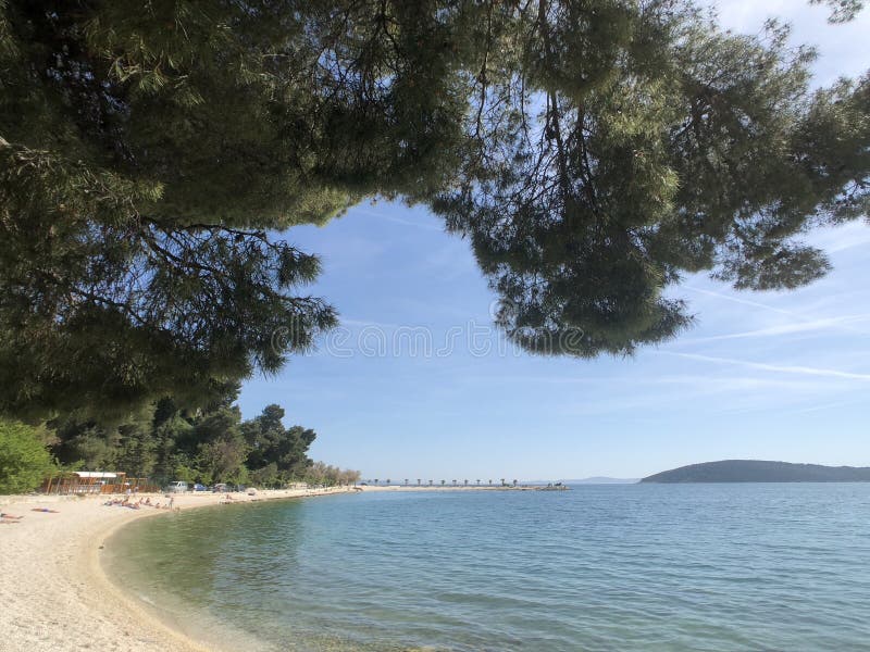 Kasjuni beach in Split stock photo. Image of forest - 186199912