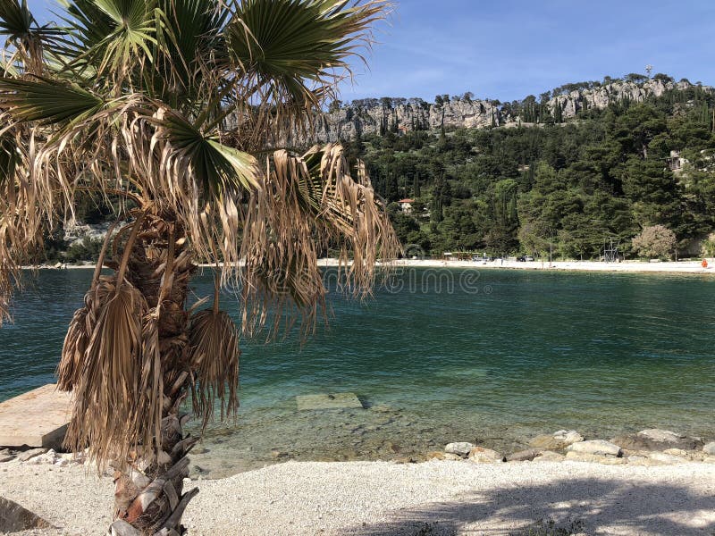 Kasjuni beach in Split stock photo. Image of forest - 186199912