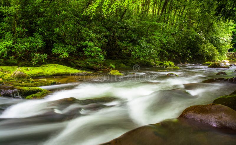 Kaskaden in Dem Oconaluftee-Fluss Stockbild - Bild von szenisch, bäume ...