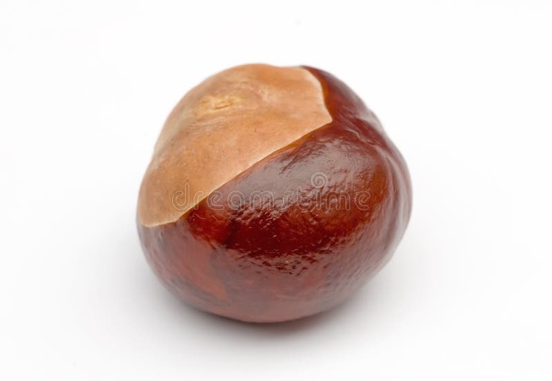 Kastanie Einzeln Stockfotos und Bilder - Laden Sie 2,580 lizenzfreie ...