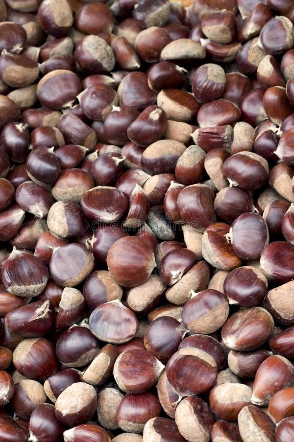 Kastanien am Markt Des Landwirts Stockfoto - Bild von landwirt, paris ...