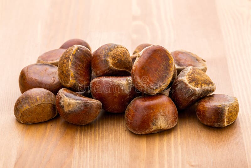 Kastanjbur arkivfoto. Bild av träd, kastanj, växt, höst - 83921682