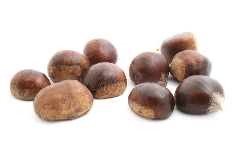 Kastanje stock foto. Image of kastanjes, najaar, open - 16516226