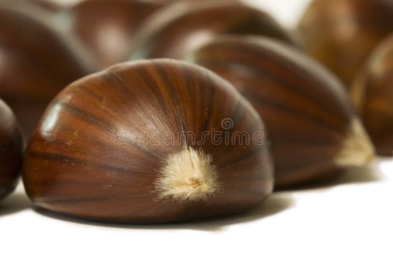 Kastanjer fotografering för bildbyråer. Bild av odling - 16512825