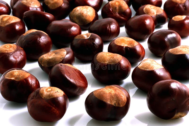 Kastanjer arkivfoto. Bild av frukt, färg, natur, falla - 16526138