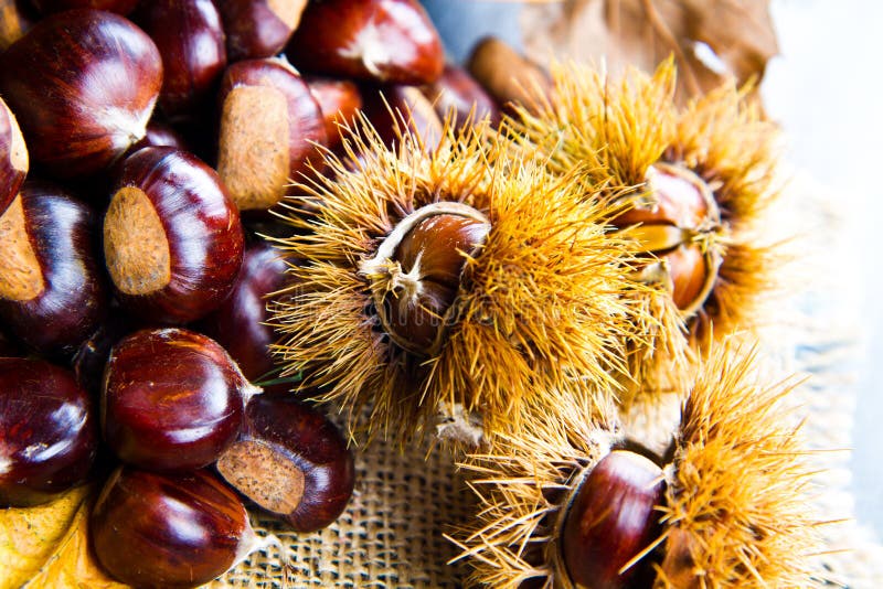 Kastanjer arkivfoto. Bild av äta, kastanjer, marmor, bakgrund - 45395682