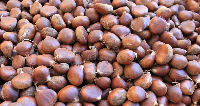 De Eetbare Noten Van Kastanjes Op Wit Stock Foto - Image of kastanje ...