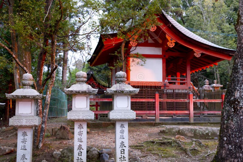 Kasuga Taisha stock photo. Image of taisha, asia, shinto - 49414702