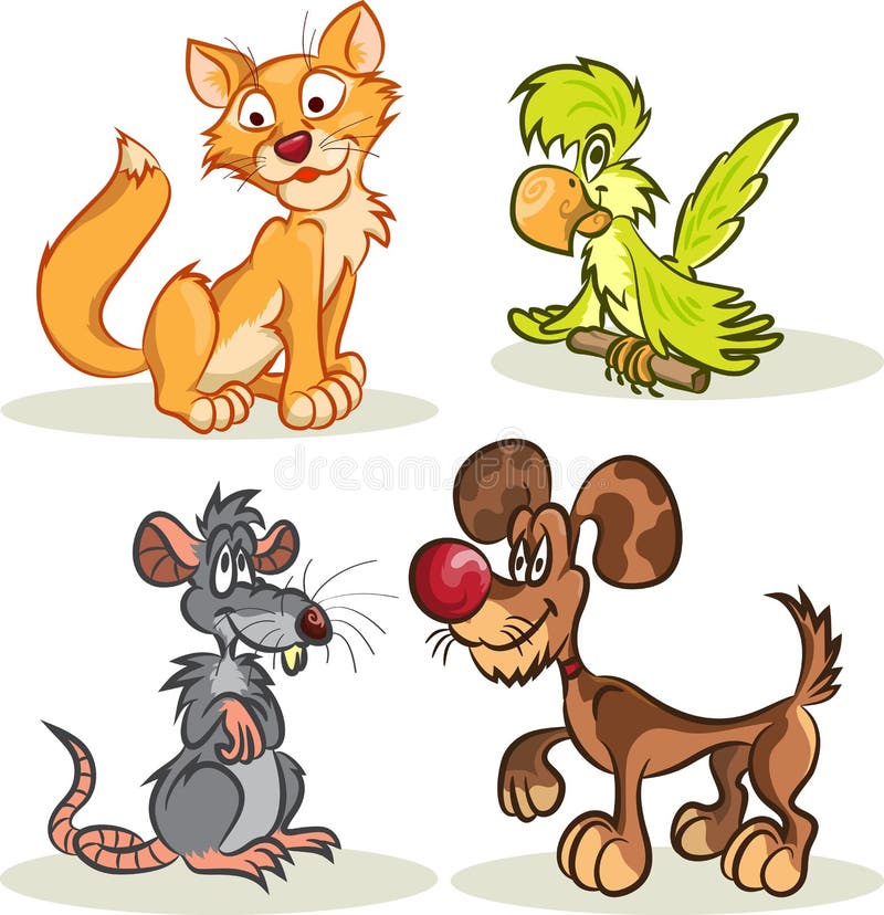 Kat, hond, rat, papegaai vector illustratie. Illustration of vogel ...