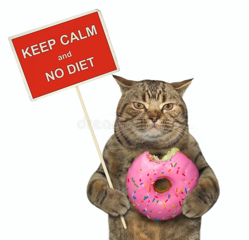 Kat Met Een Grappig Teken En Een Roze Doughnut Stock Afbeelding - Image ...