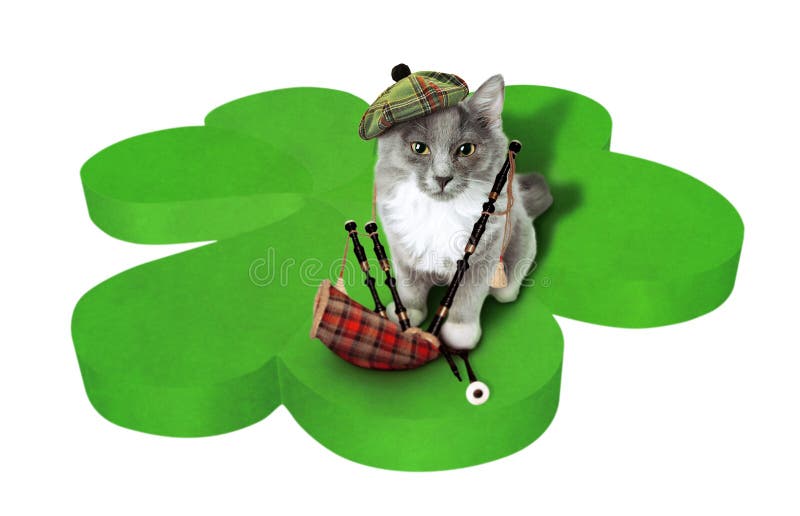 Kat Met Nationale Symbolen Van Schotland Stock Afbeelding - Image of ...