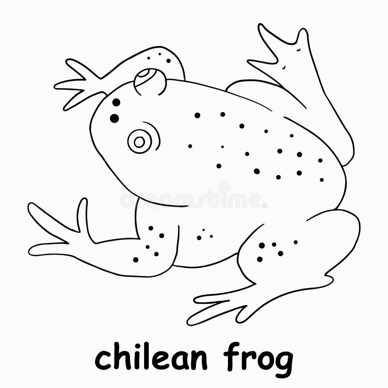 Kids Line Illustration Coloring Books. Outline Vector for Children ...