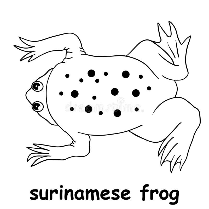 Kids Line Illustration Coloring Animal. Outline Vector for Children ...