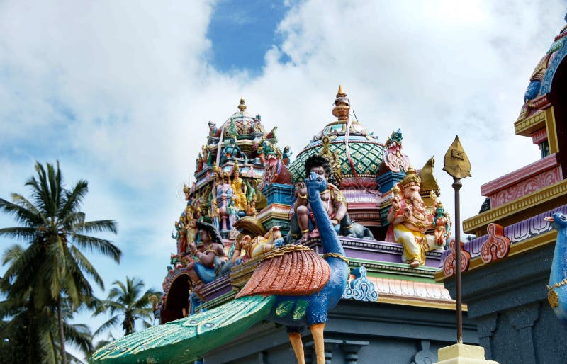 Punchi Stock Photos - Free & Royalty-Free Stock Photos from Dreamstime