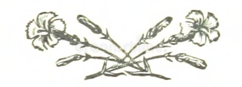 British Library Digitised Image From Page 27 Of "Kathleen Carmichael S ...