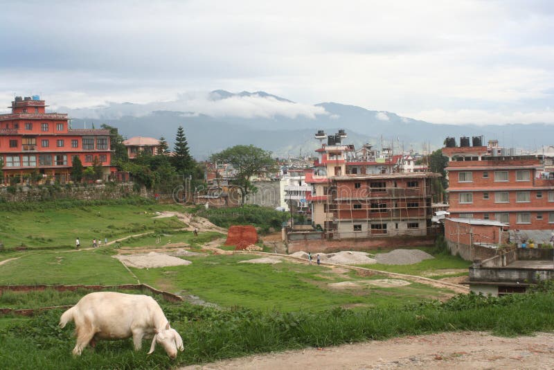 Kathmandu, Boudha stock photo. Image of paddy, boudha - 6283816