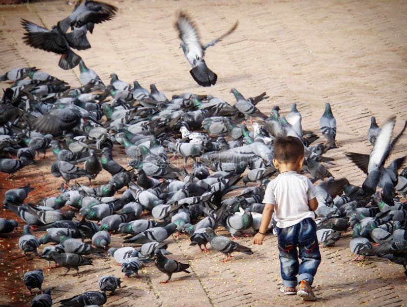 Kathmandu Nepal editorial photography. Image of nepal - 105142932