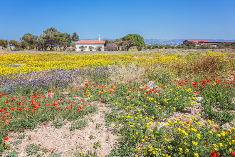 Kato Paphos Archaeological Park, Cyprus. Stock Photo - Image of kato ...