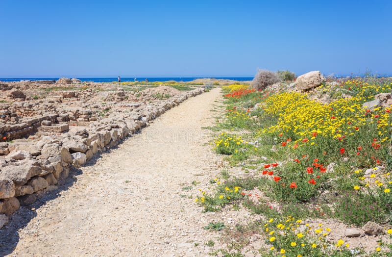 Kato Paphos Archaeological Park, Cyprus. Stock Image - Image of island ...