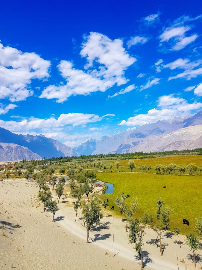 Katpana Valley Skardu GB stock photo. Image of valley - 259146660