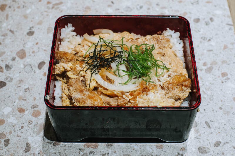Katsu with Rice on Rectangular Plate Stock Photo - Image of cookery ...