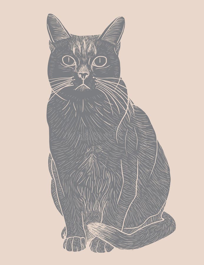 Katt tecknad hand vektor illustrationer. Illustration av husdjur ...