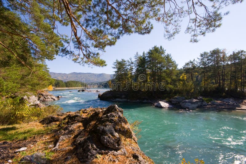 Katun river and mountains stock photo. Image of natural - 8042526