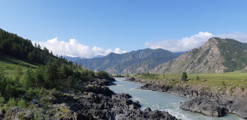 The Katun River in Altai stock image. Image of forest - 206019795