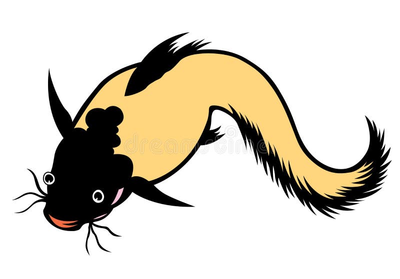 Katvis stock illustratie. Illustration of dieren, dier - 27402831